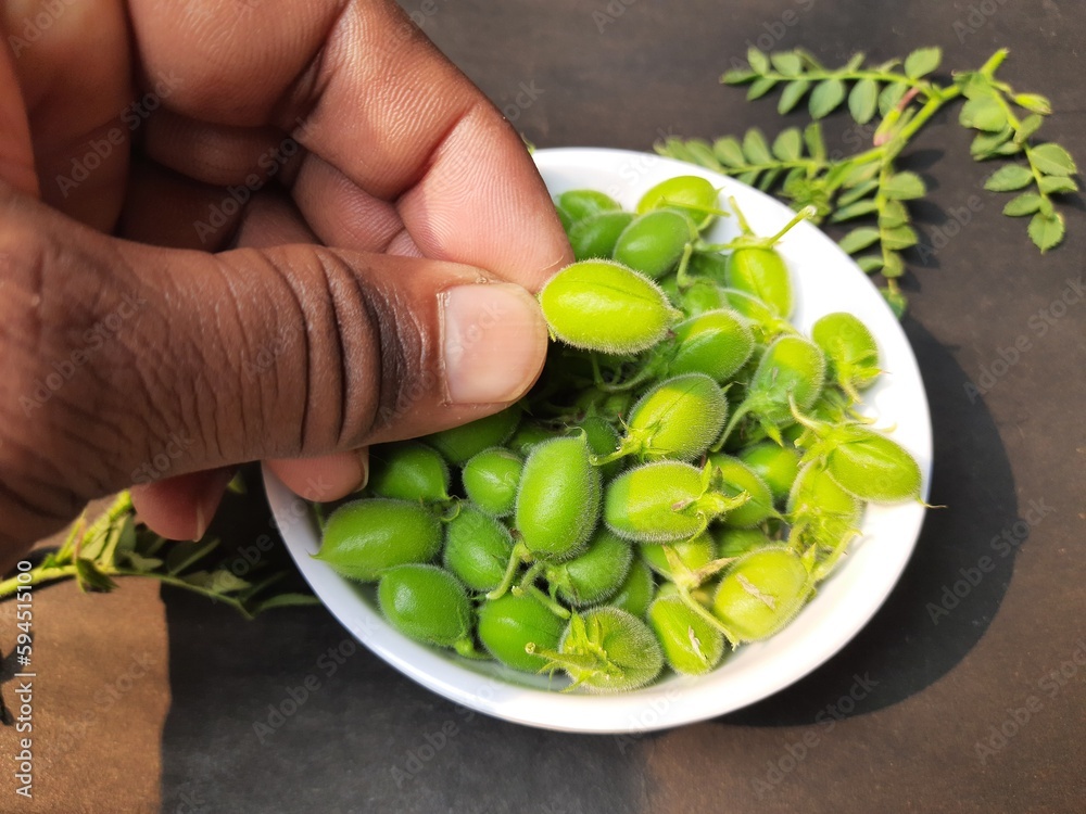 Fresh green chickpeas pod. chickpea is an annual legume of the Fabaceae ...