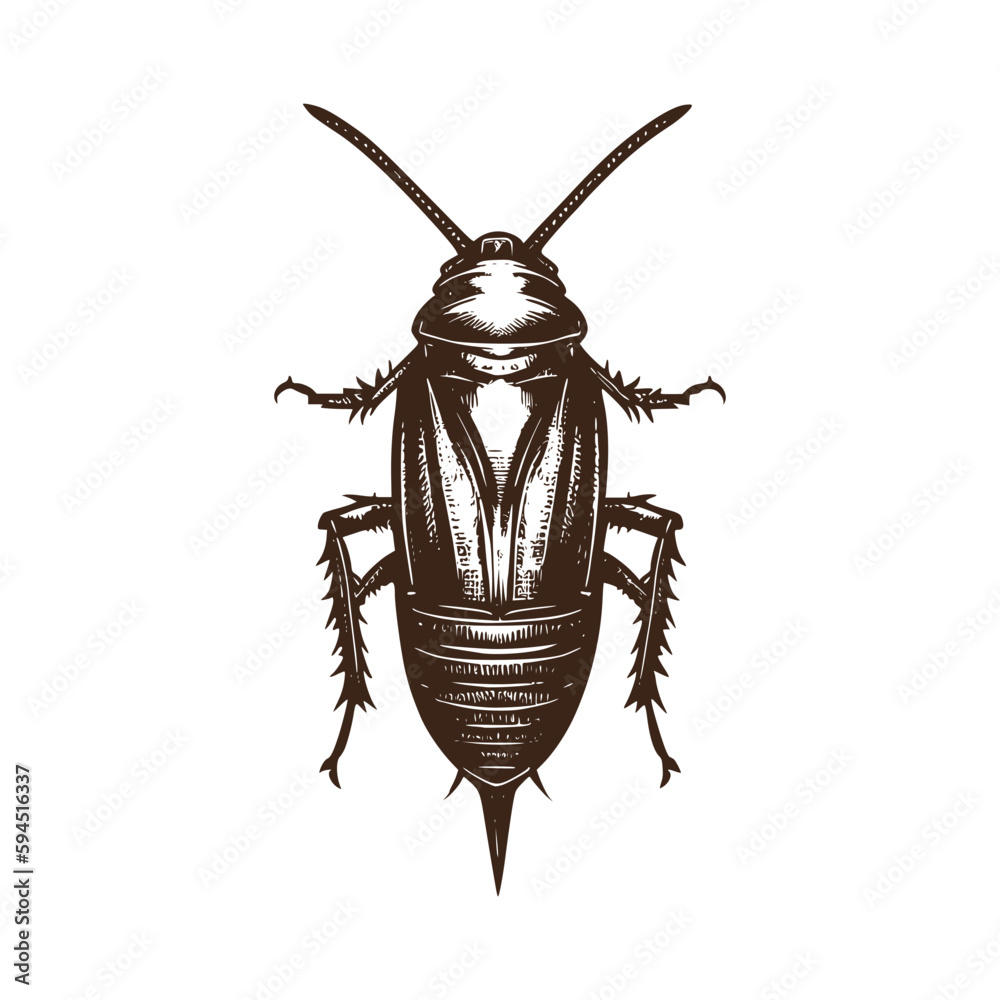 Vecteur Stock Vintage logo of a cockroach. an old-school logo of ...