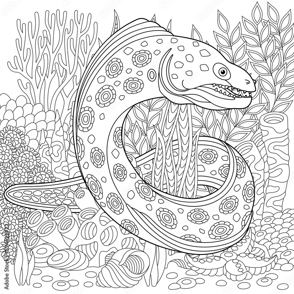 Underwater scene with a moray eel. Adult coloring book page with ...