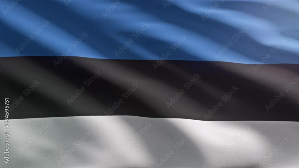 Vidéo Stock Fluttering the national Republic of Estonia country symbol ...