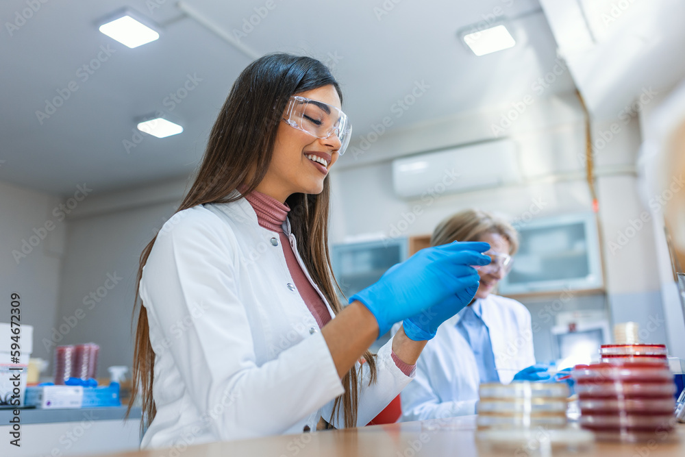 Scientist examining solution in petri dish at a laboratory. Lab ...