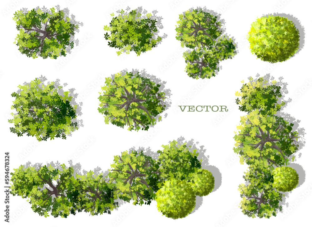 set of green grass, Vector of abstract watercolor tree top view ...