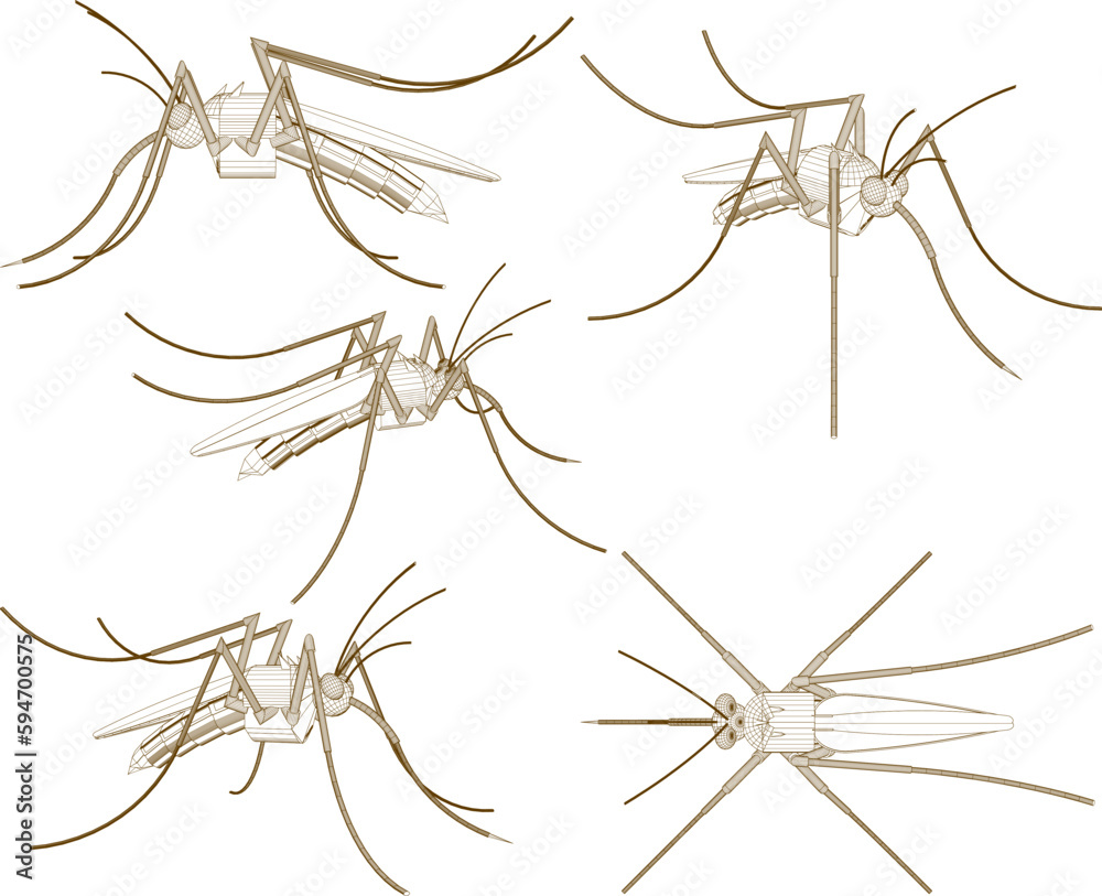 Vector sketch illustration of flying mosquito Stock Vector | Adobe Stock