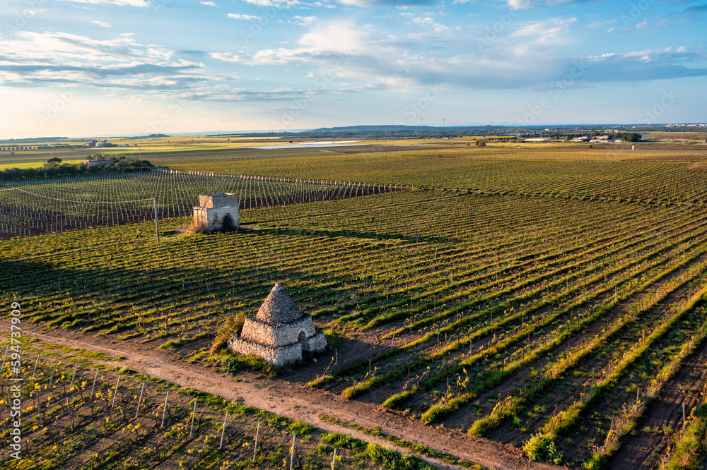 trullo in un vigneto in primavera, Lizzano, Puglia, Salento, Italy ...