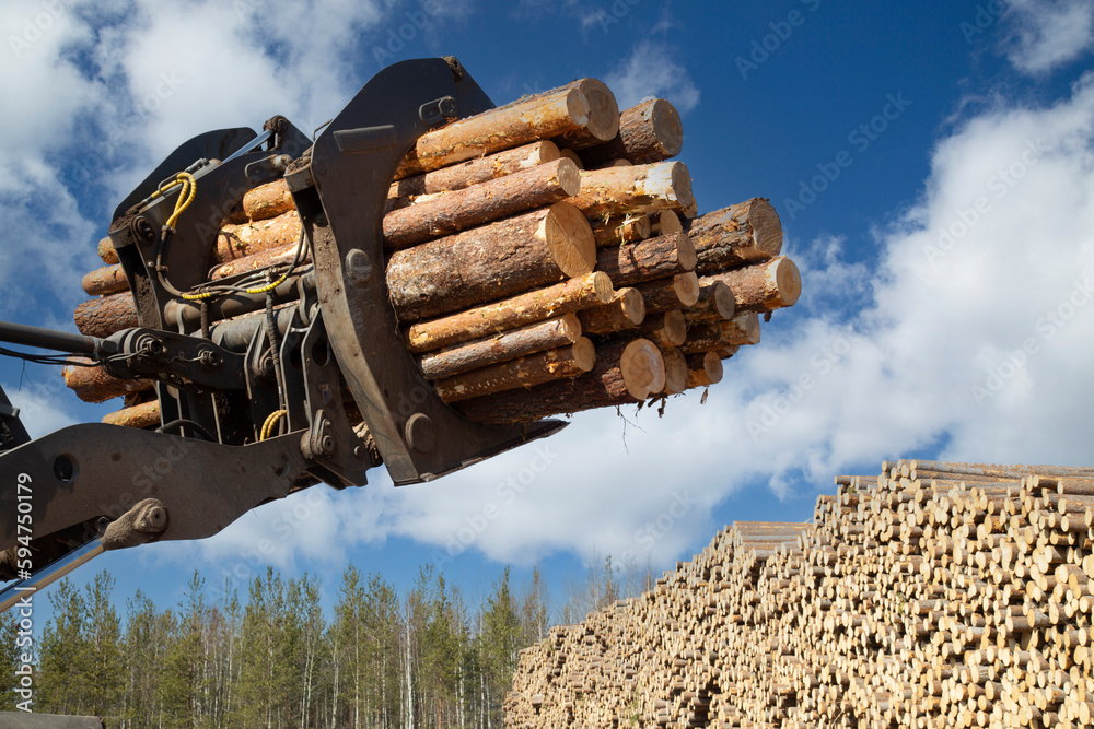 Loading logs with a special loader.Timber products warehouse on a ...