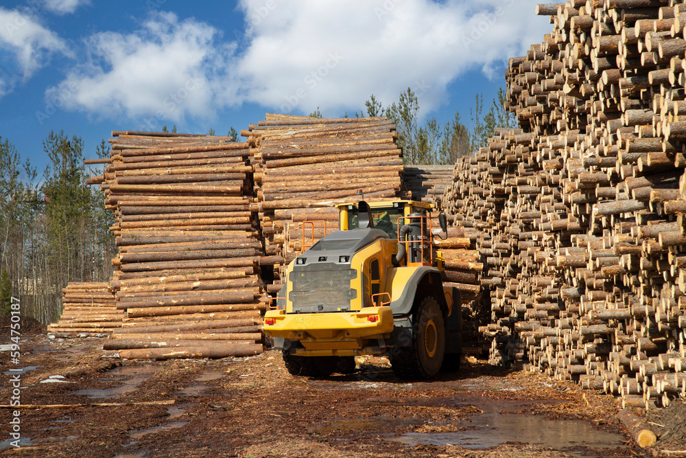 Loading logs with a special loader.Timber products warehouse on a ...