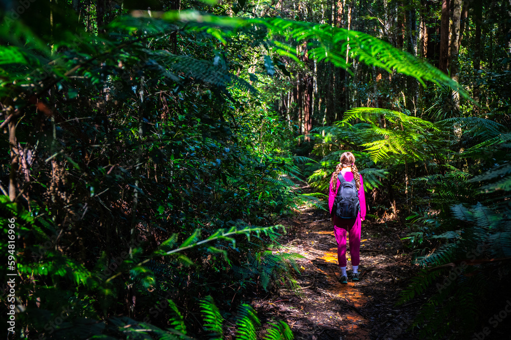 Girl in pink tracksuit hikes in Gondwana rainforest and admires ...