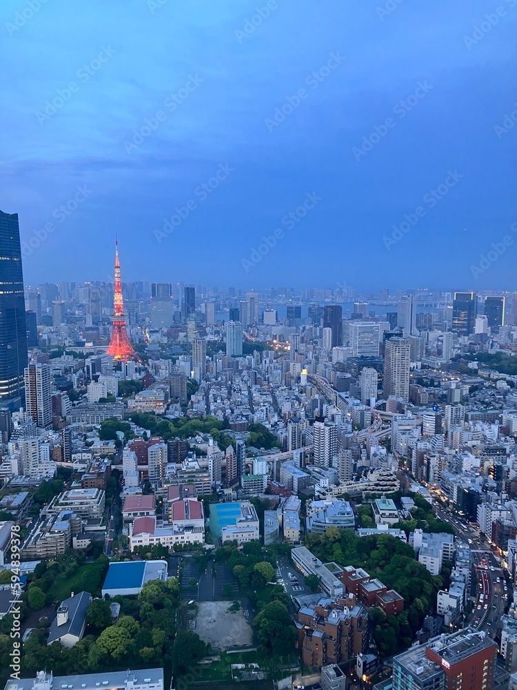 Tokyo aerial sky view from Roppongi, you can find Shinjuku and Shibuya ...