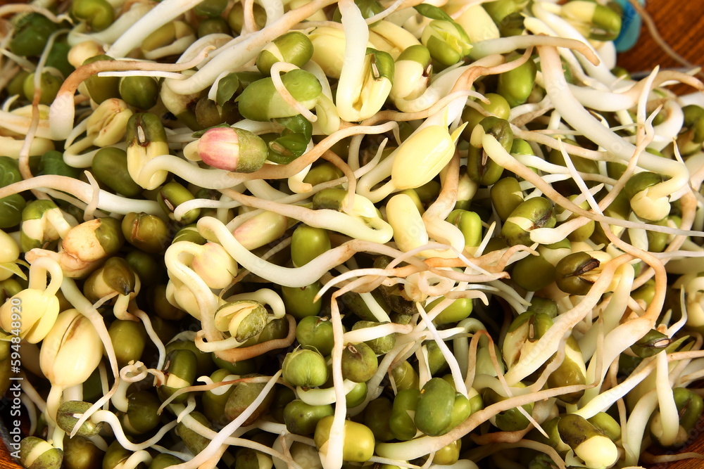 heap of sprouted green mung or moong beans also known as green gram ...