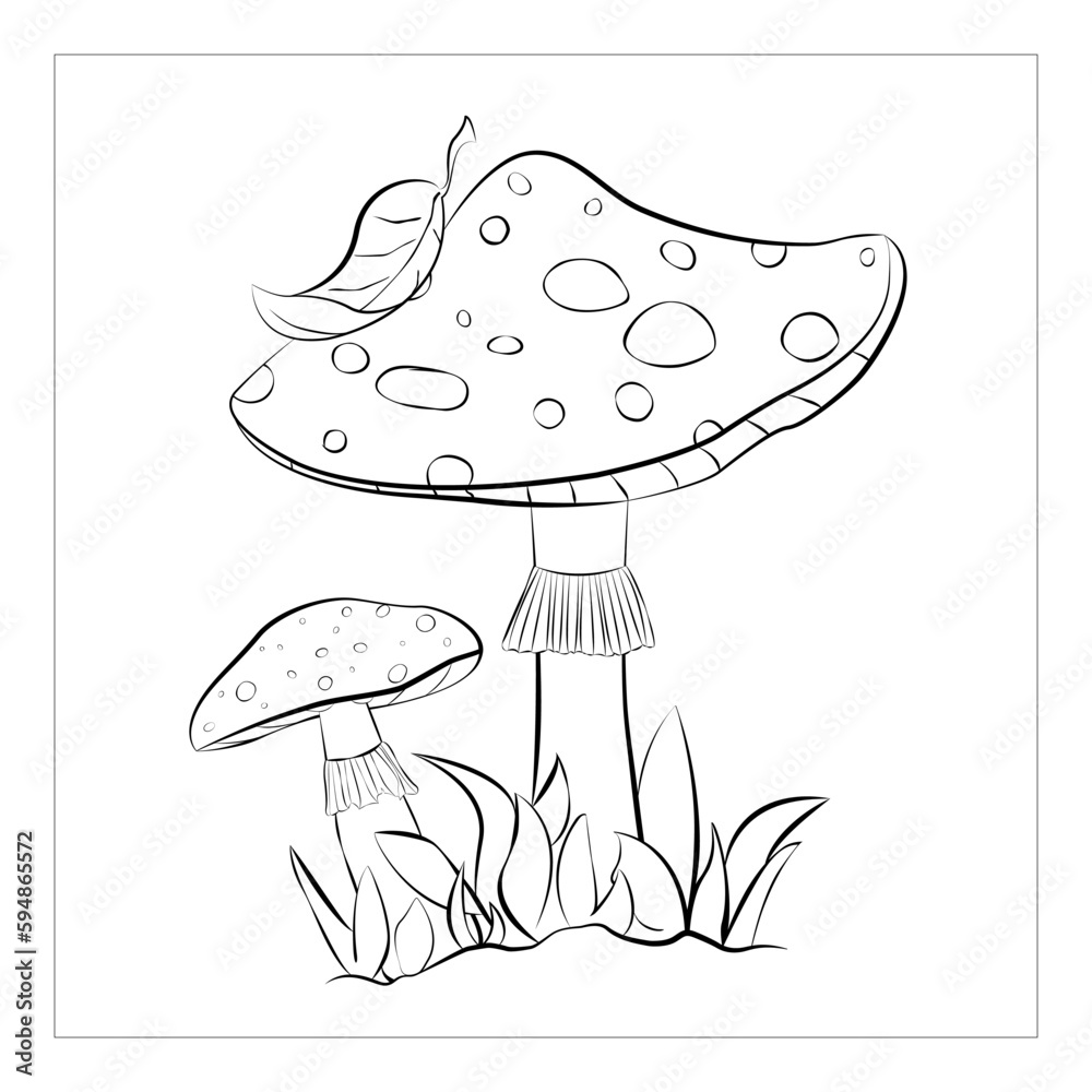 Amanita mushroom (lat. amanita verna) vector coloring page for children ...