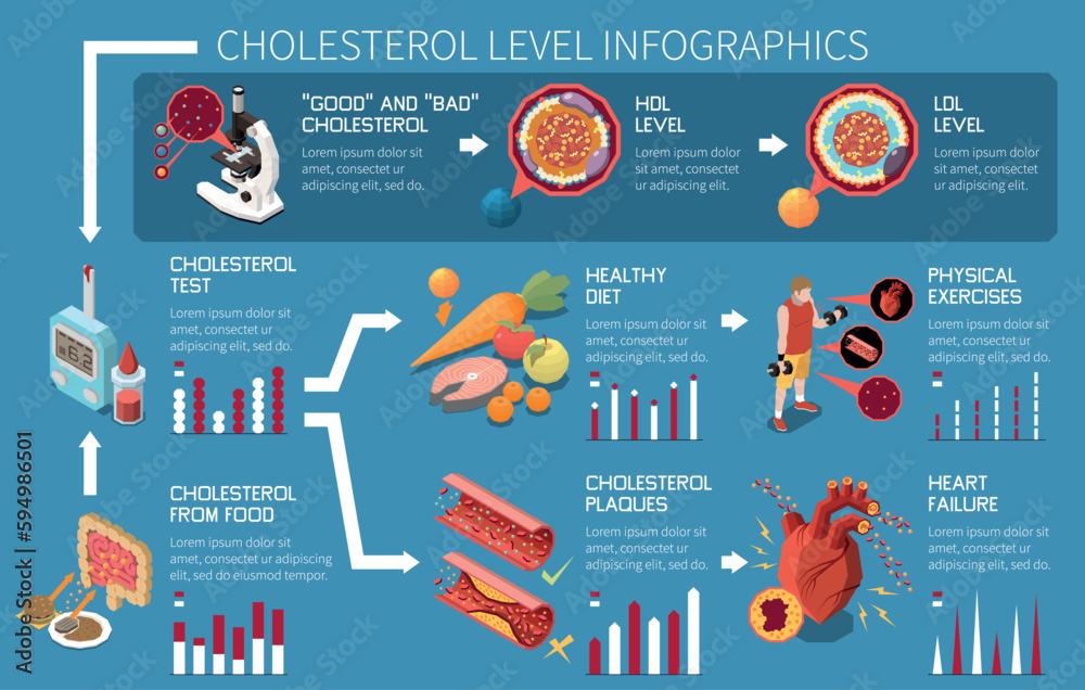 Cholesterol Level Infographics Stock Vector | Adobe Stock
