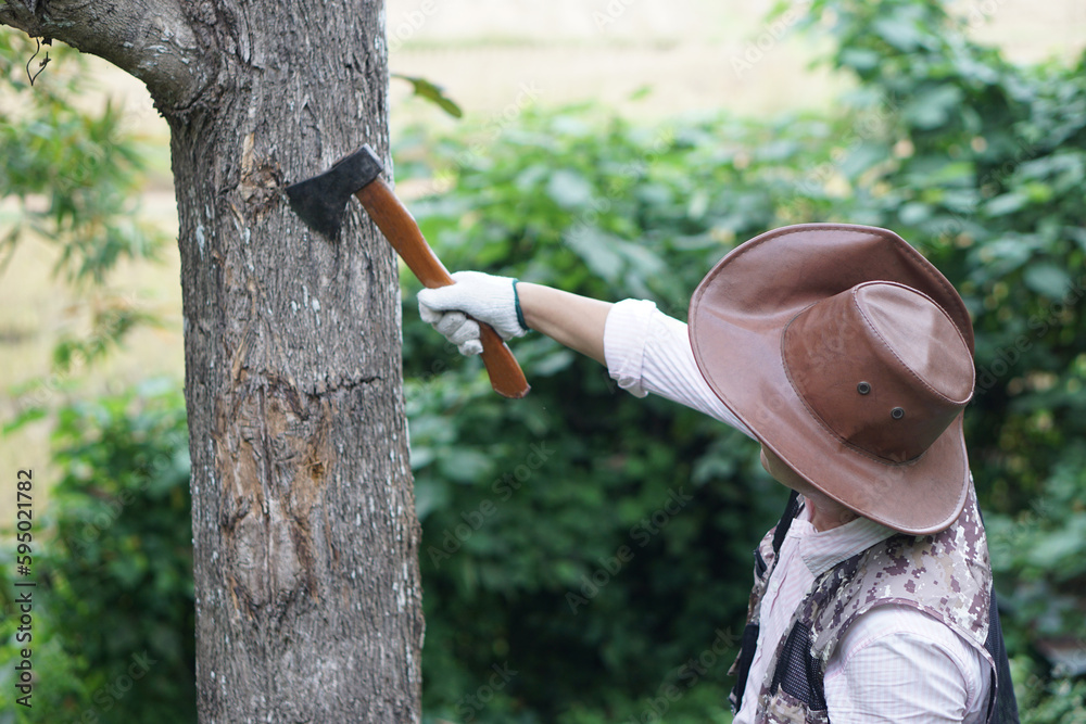 Foto de Asian man wears hat, holds axe to cut trunk of tree. Concept ...