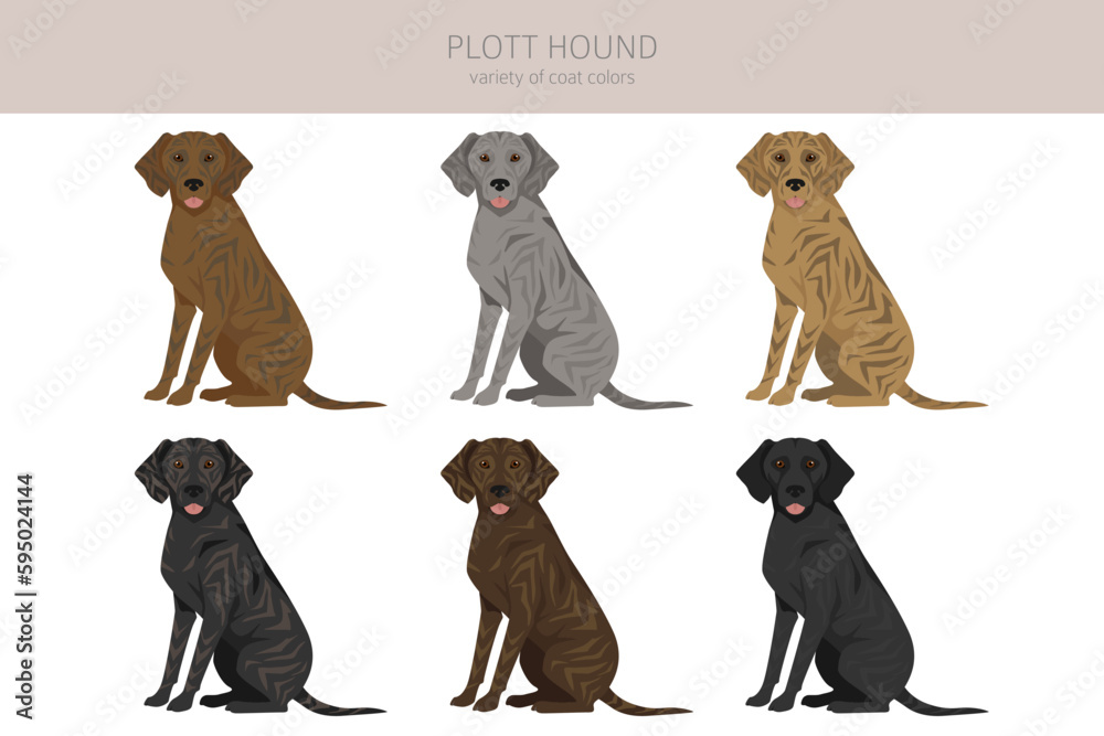 Plott hound clipart. Different poses, coat colors set Stock Vector ...