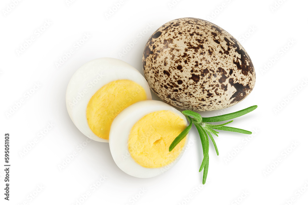 boiled quail egg isolated on white background with full depth of field ...