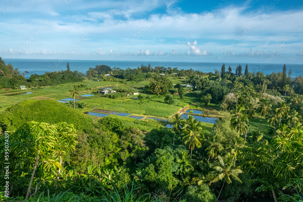 Gorgeous tropical rural landscapes with dense rainforests, waterfalls ...