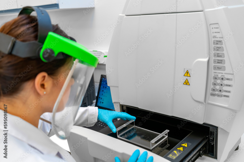 digital gel imaging system, Molecular Imager Gel Doc XR new drug ...