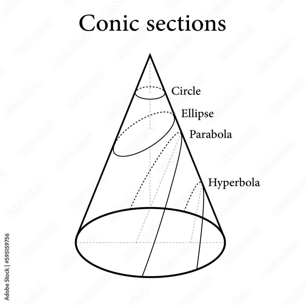 Types of conic sections. Circle, Ellipse, Parabola and Hyperbola ...