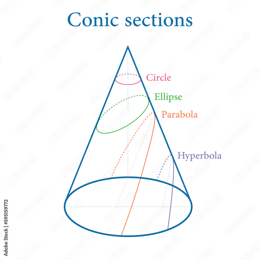 Types Of Conic Sections Circle Ellipse Parabola And Hyperbola Vector Illustration Isolated