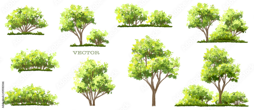 Vector watercolor of tree side view isolated on white background for ...