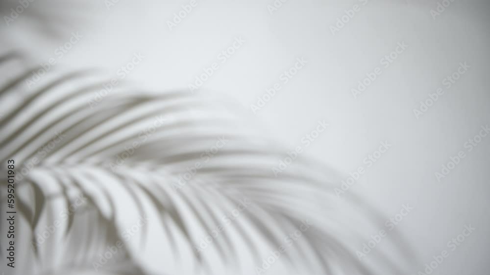 Vidéo Stock motion of shadow palm leaf in the wind blowing overlay on ...