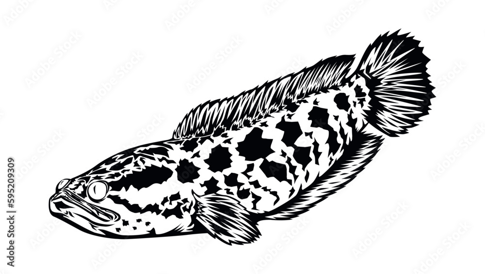 Snakehead fish vector isolated on white background. Snakehead logo ...