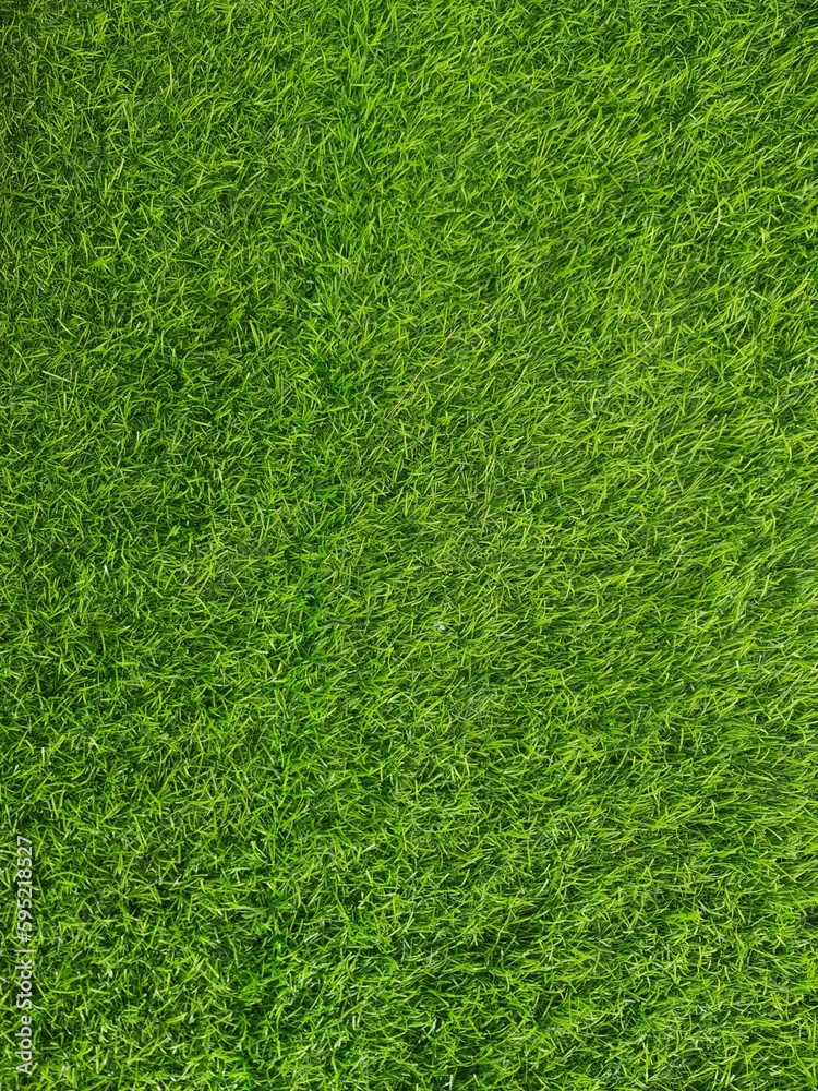 green grass pattern texture,green grass background ,top view background ...