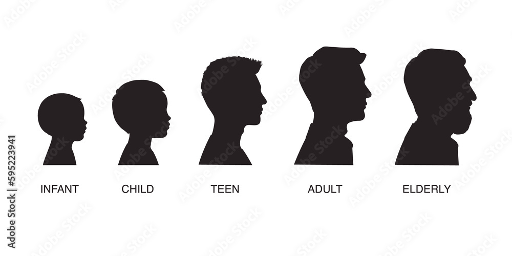 The stages of a man's growing up - infant, child, teen, adult, elderly ...