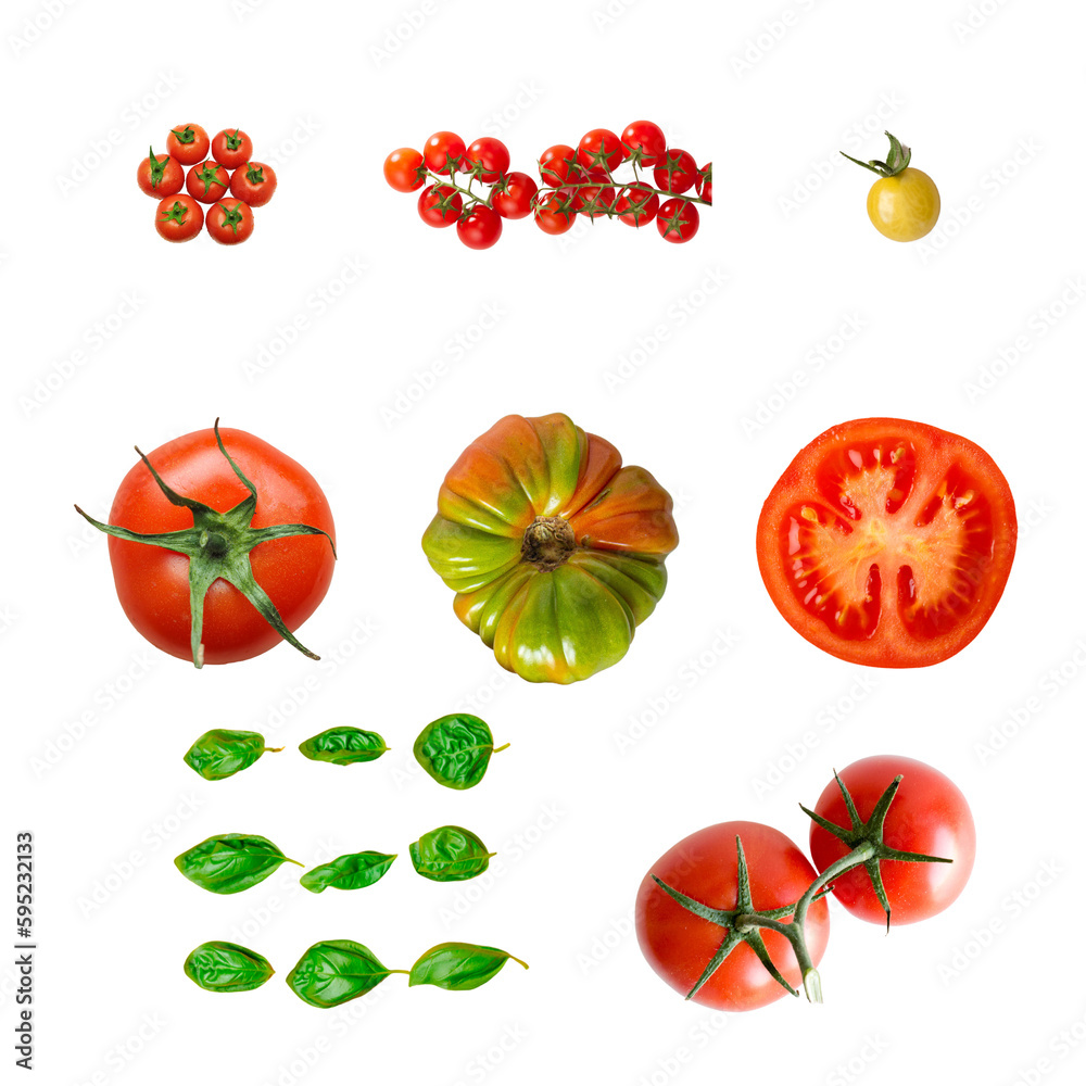 Set of 8 tomato varieties isolated over a transparent background ...