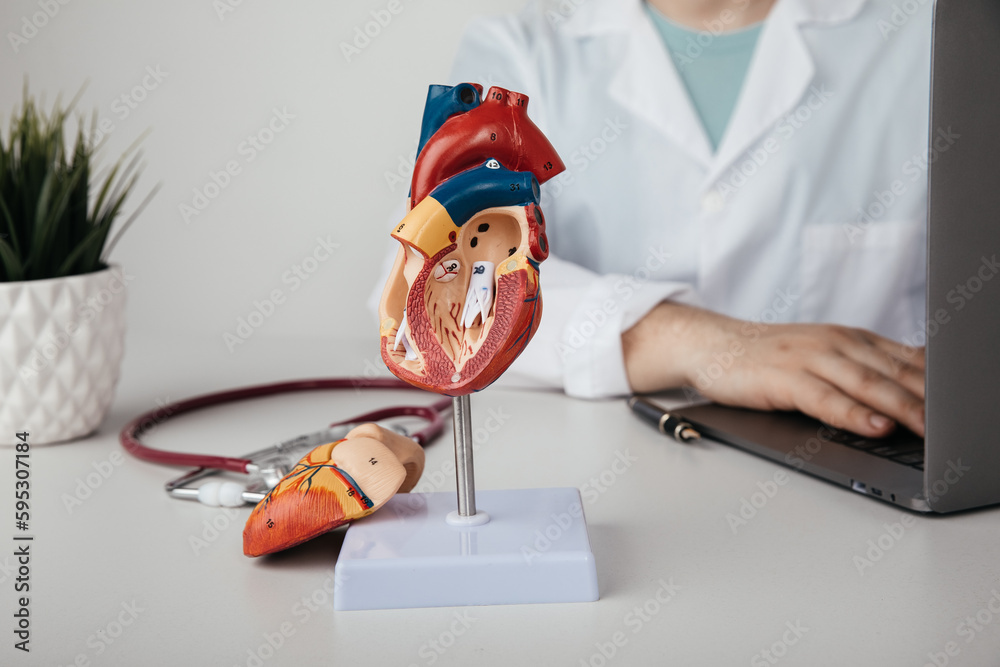 Anatomical model of the heart on the doctor's table with stethoscope ...