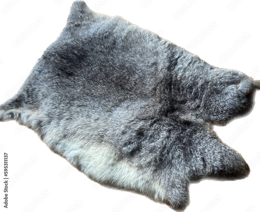 Rabbit and hare skins and fur. Real tanned leather of pets. White and ...