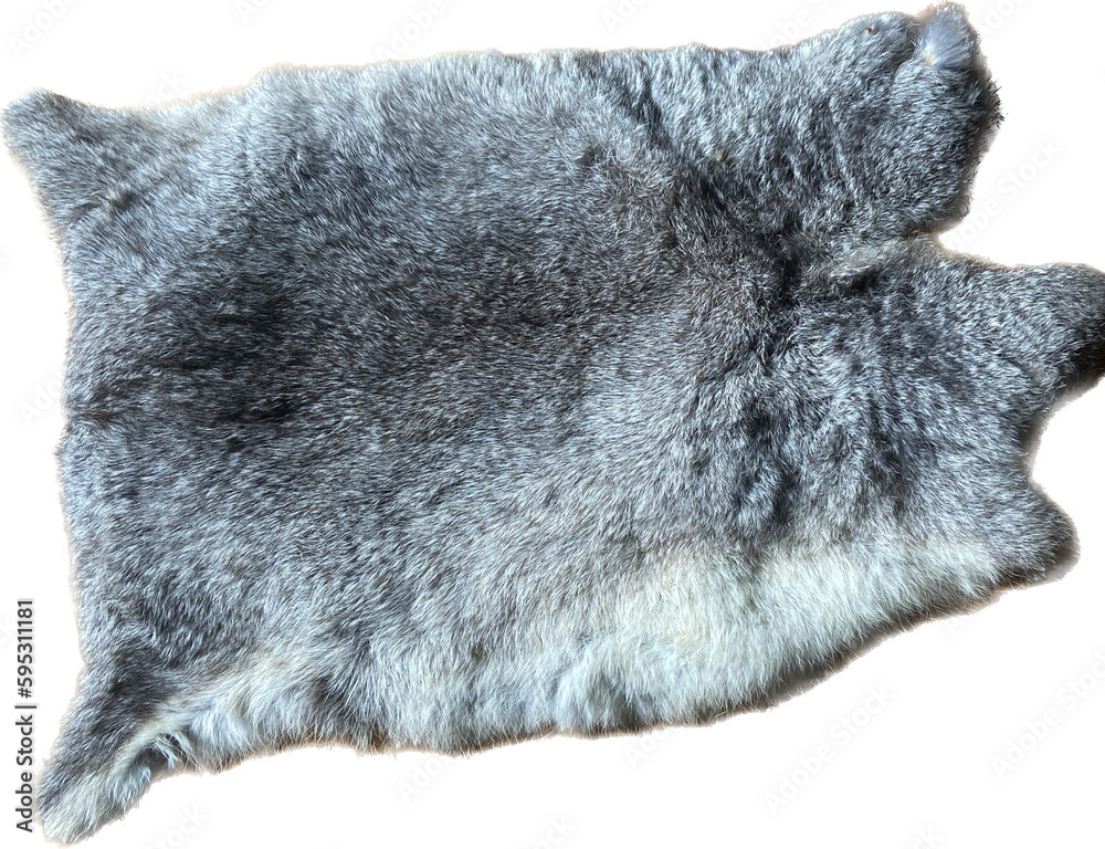 Rabbit and hare skins and fur. Real tanned leather of pets. White and ...