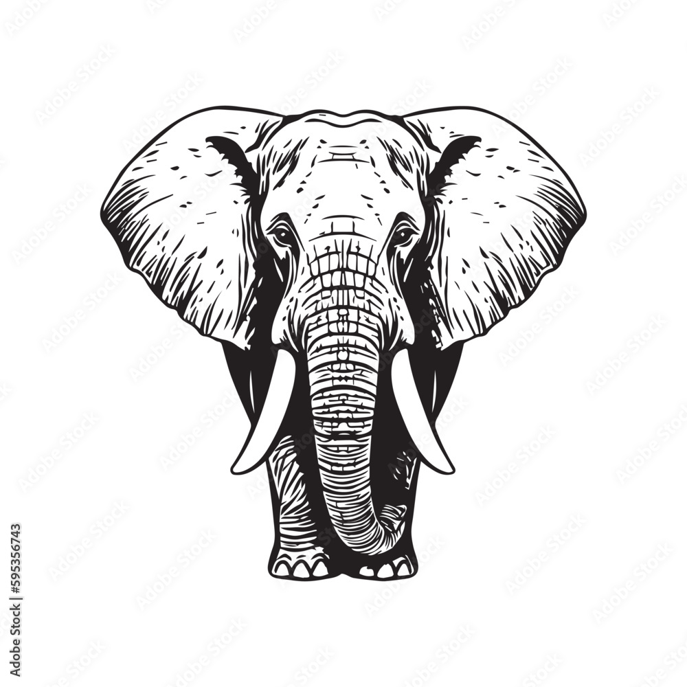 Graphical elephants isolated on white background - vector illustration ...