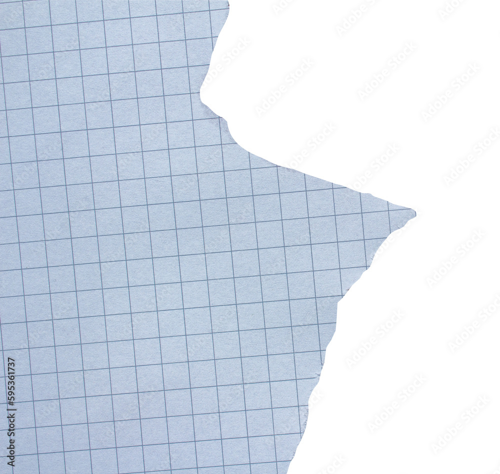 Ripped graph paper piece on transparent background. Png paper. Stock Photo | Adobe Stock