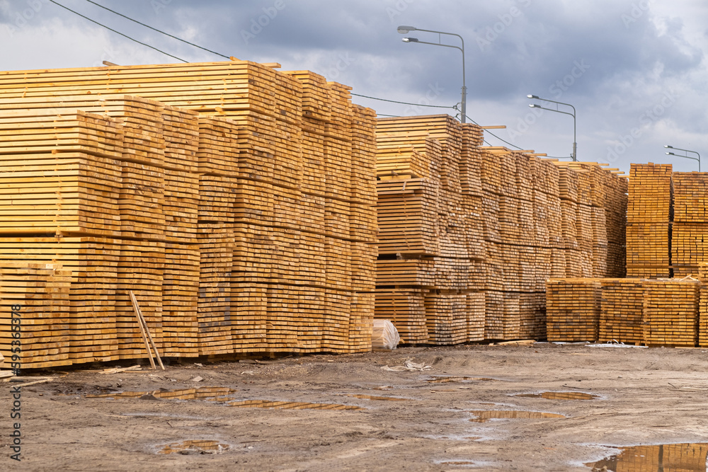 Wooden boards, lumber, industrial wood, timber. Pine wood timber stack ...