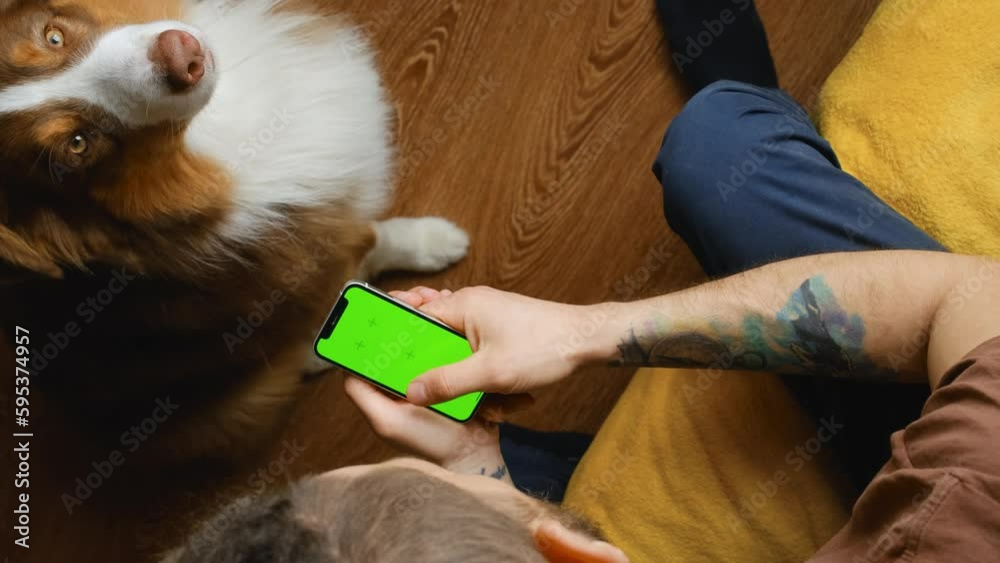 Pet male owner resting with dog inside. Guy with Australian shepherd ...