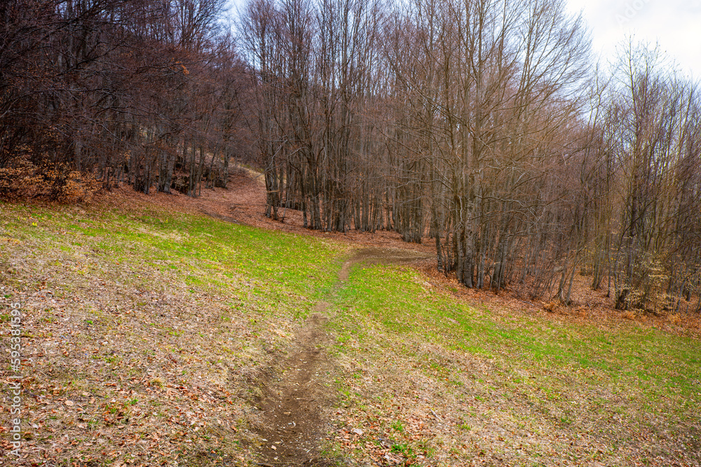 Panorama around the Chiappo Peak, small mountain in the Apennine ...
