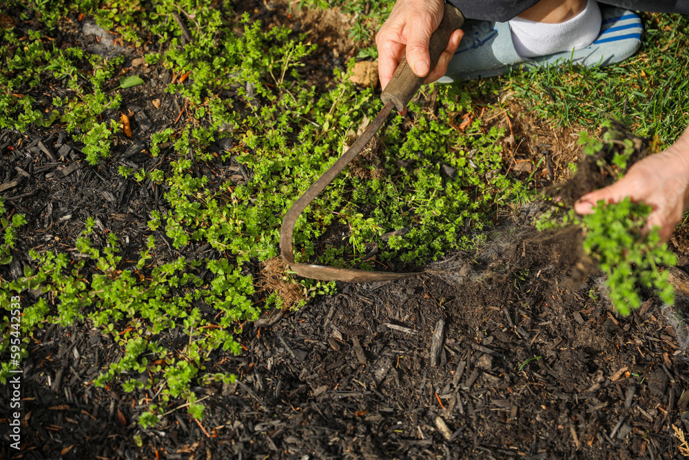 Gardening tools like trowels, spades, and shovels are essential for ...
