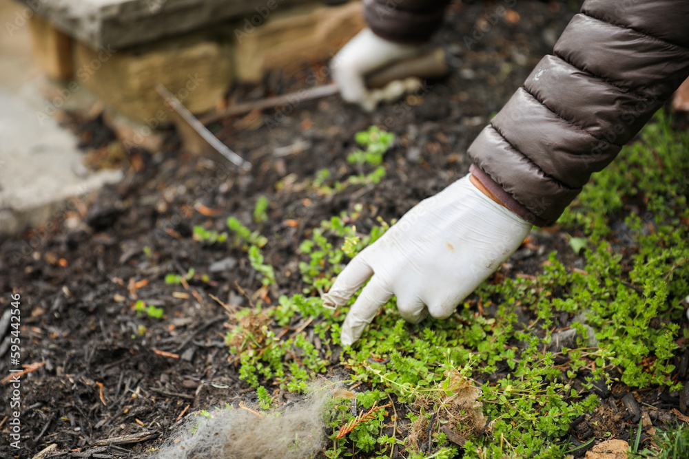 Gardening tools like trowels, spades, and shovels are essential for ...