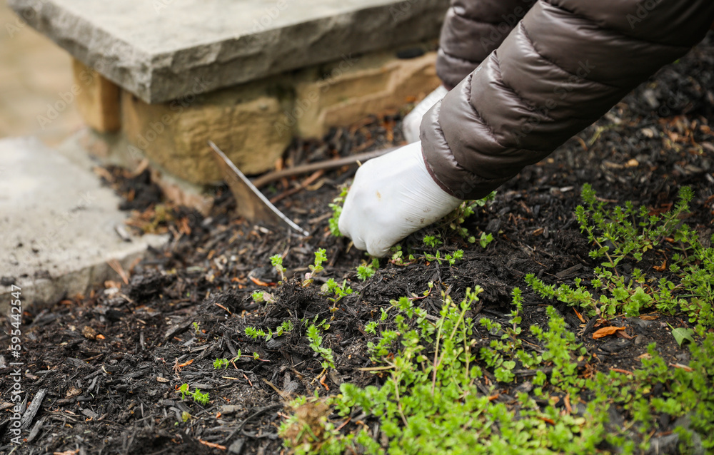 Gardening tools like trowels, spades, and shovels are essential for ...