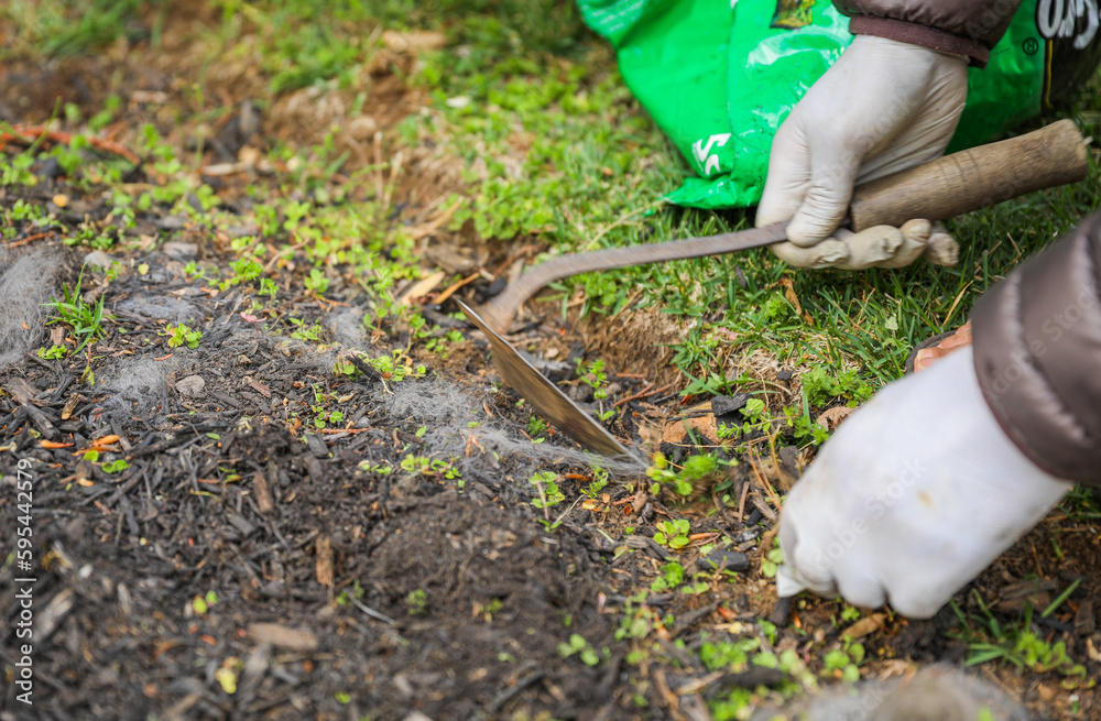 Gardening tools like trowels, spades, and shovels are essential for ...
