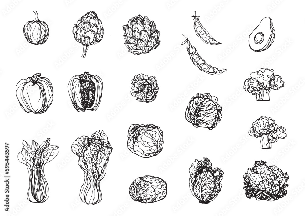 Minimal vegetable drawing set, ink doodle vegetables vector ...