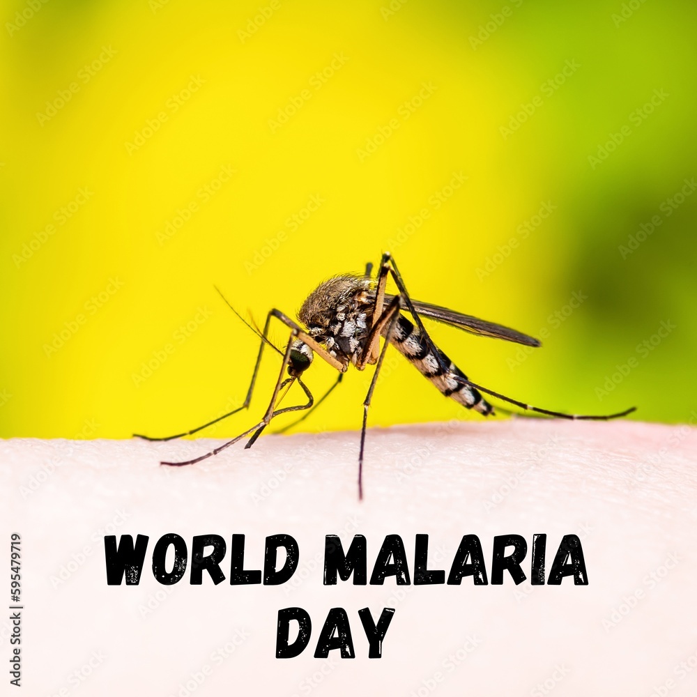Malaria Awareness Campaign" - A bold and eye-catching design that ...