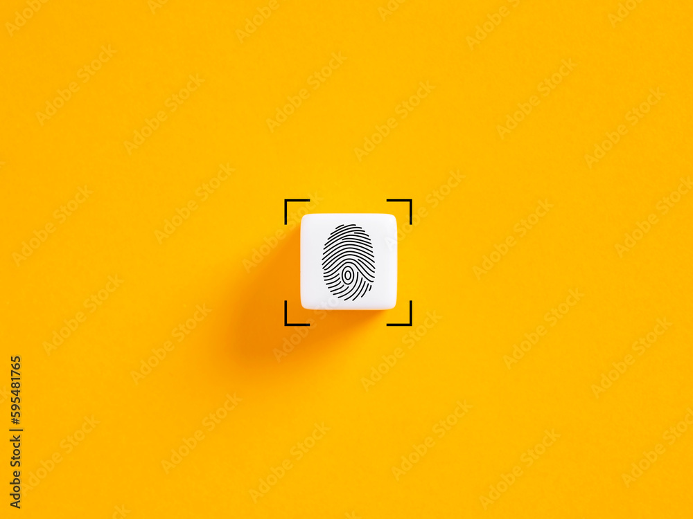 Fingerprint Scan Push Button Encryption And Access Control System For