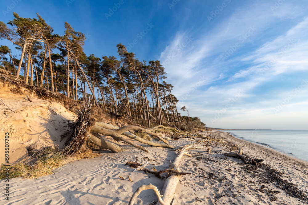 Darßer Weststrand, einer der schönsten Strände der Welt. Stock-Foto ...