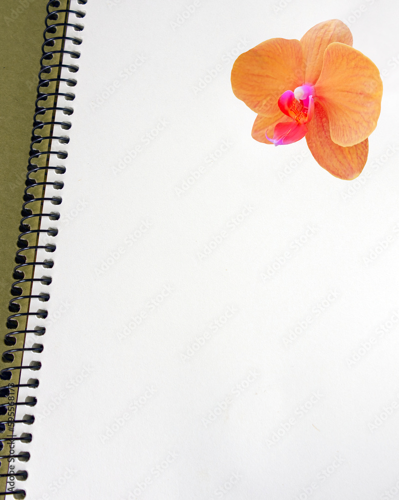 Blank notebook with fresh orange orchid. Sepia notepad with single ...