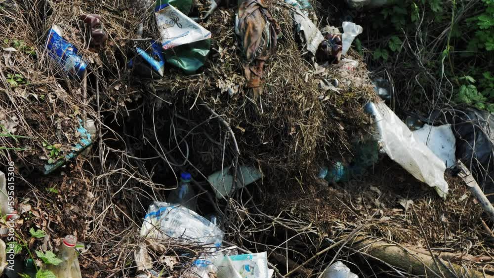 pollution of water bodies with garbage. plastic waste in nature ...