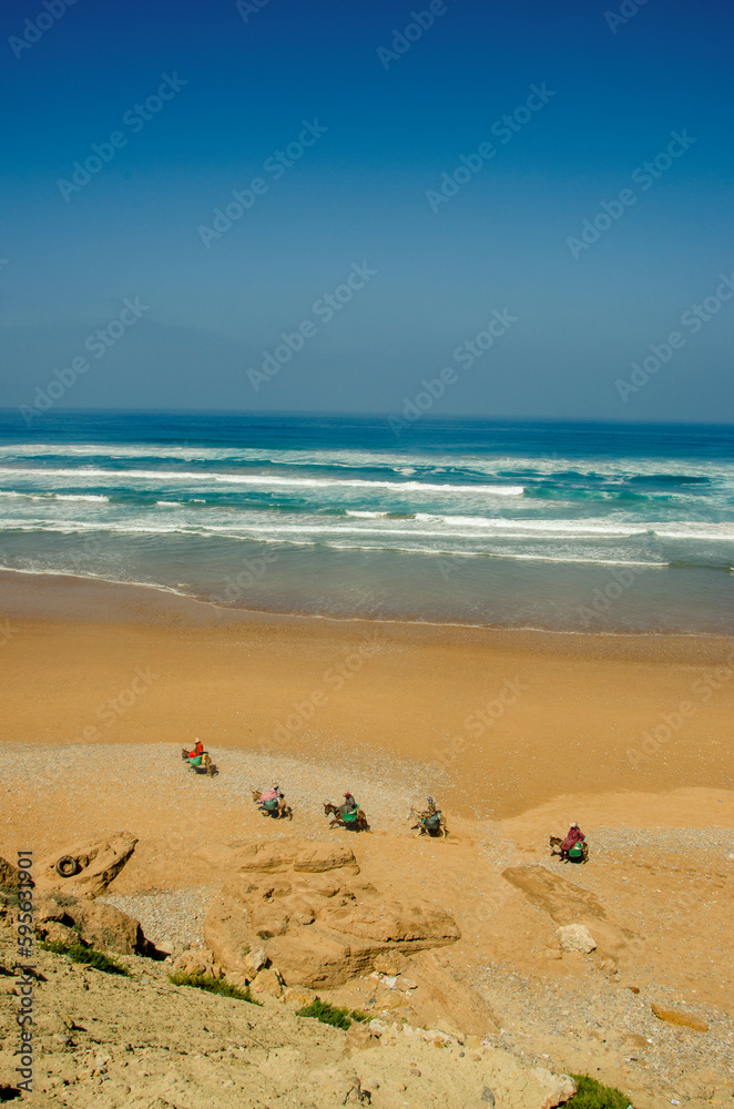 Mule-driven workers moving along a beach on the Atlantic Ocean in ...