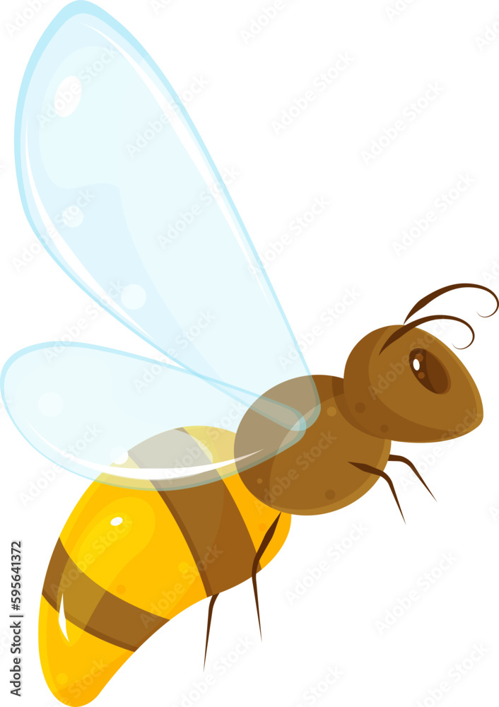 Cartoon Honey Bee Vs Wasp