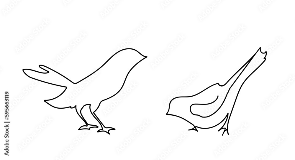 The contour of the bird in a solid line on a white background. Two ...