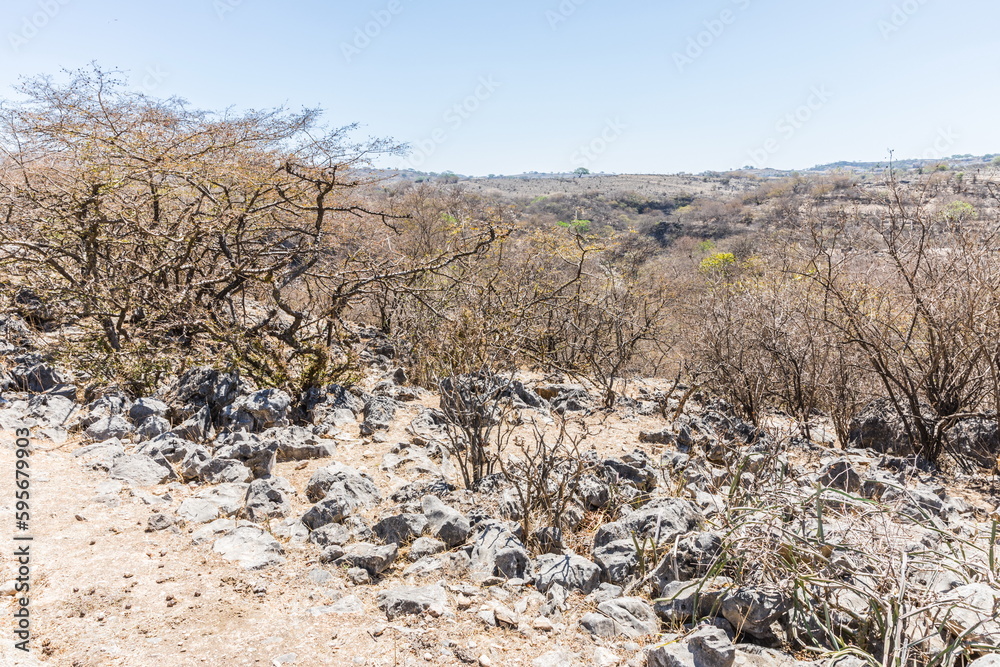 Park near the Tawi Atair Sinkhole Oman, the most famous sinkhole in the ...